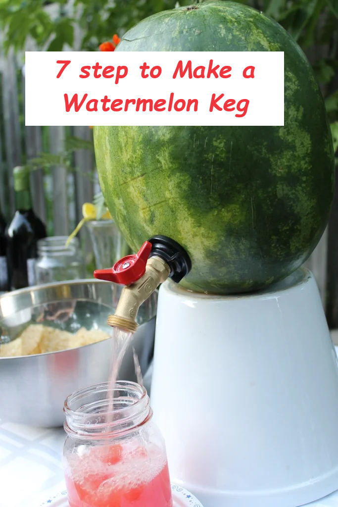 7 step to Make a Watermelon Keg – BeautyNip